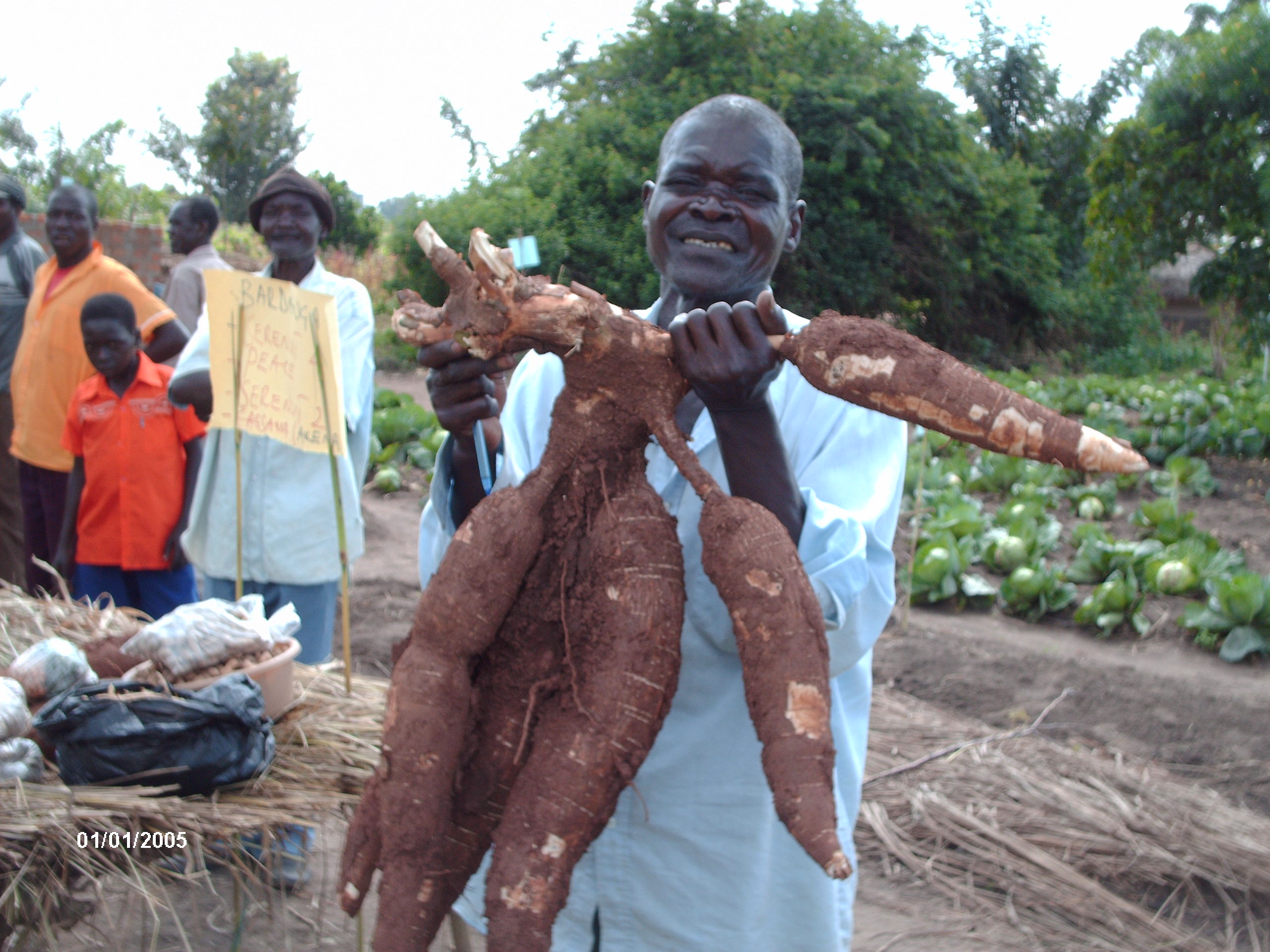 Iteso Food Degraded – Atap Composition – Humanist